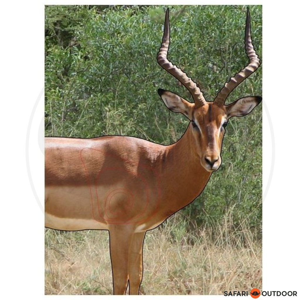 Target Garipani .22 Rooibok - African Hunter & Outfitters